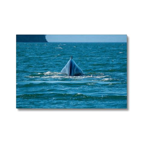 Deep Dive I Canvas Grasshopper Geography