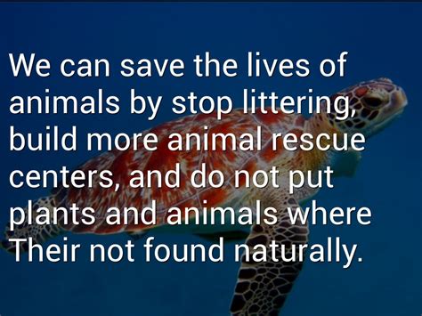 Why Should We Save Endangered Species At Elizabeth Blanche Blog