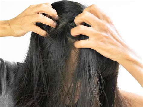 Otite Otite Moyenne Symptômes Causes Et Traitement Naturesain