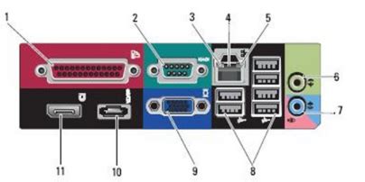 Back Panel Connectors Diagram Quizlet
