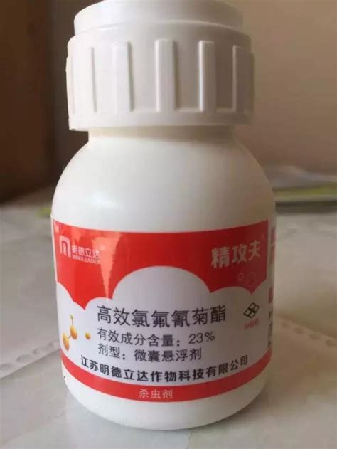 臍橙病蟲害管理技術臍橙園病害綜合防治措施 每日頭條
