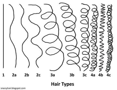 Una Chica Natural Tipos De Cabello Desde Lacio Hasta Afro