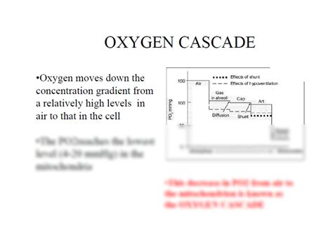 SOLUTION Physiology Of Oxygen Transport Lecture Studypool