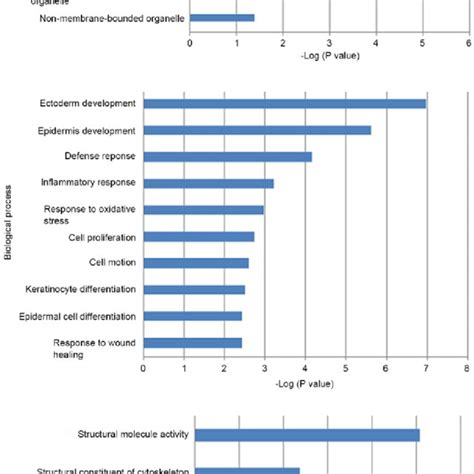 Gene Ontology Of Annotation Of The Differentially Expressed Proteins