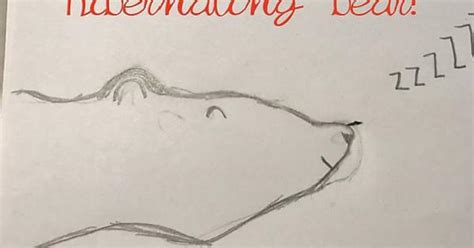 How To Draw A Hibernating Bear Album On Imgur