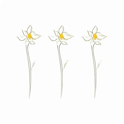 Premium Vector Beautifully Crafted Daffodil Vector Artwork