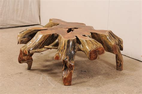 Beautiful European Tree Root Coffee Table For Sale At StDibs Tree Coffee Table Root Table