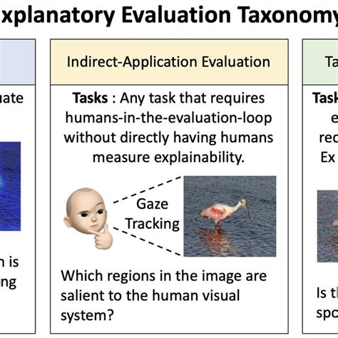 Three Taxonomies Of Evaluation Based On Human Involvement The First Is