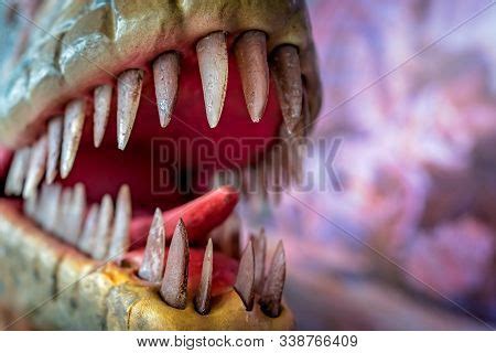 Open Mouth Showing Image Photo Free Trial Bigstock