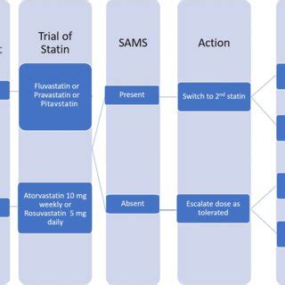 Proposed Framework For ASCVD Primary Prevention In HMGCR Associated Download Scientific Diagram