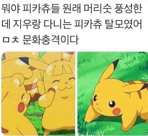 지우의 피카츄가 존나 강한 이유 