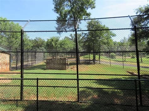 Tiger Exhibit Zoochat