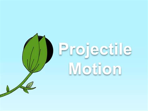 Physics Project Projectile Motion Pptx