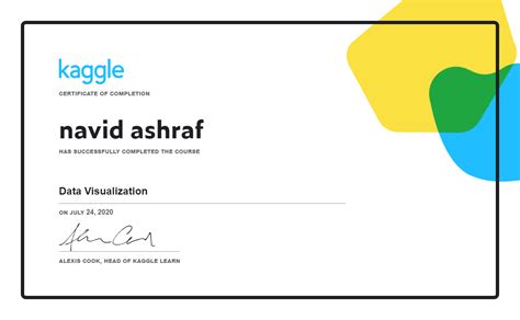 navid ashraf completed the data visualization course on kaggle