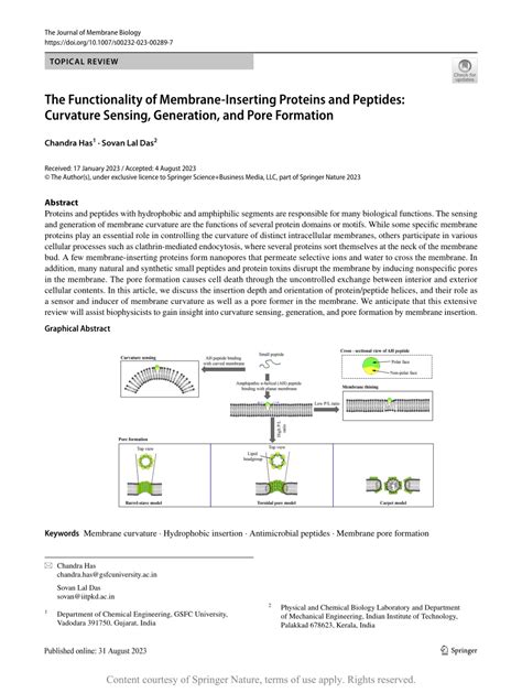 The Functionality Of Membrane Inserting Proteins And Peptides