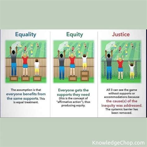 Unmasking Shadows Equality And Equity Ninja Style 🥷 Knowledge Ninja