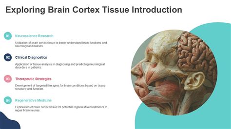 Exploring Brain Cortex Tissue Structure Function And Health Ppt Sample St Ai