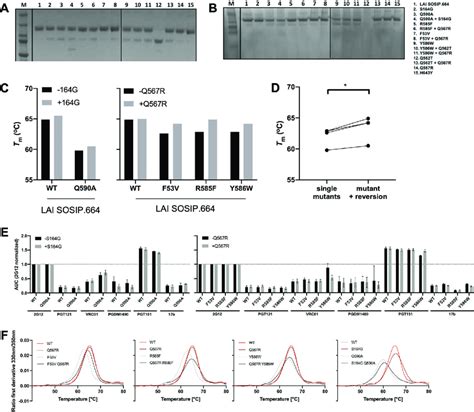 Biochemical Biophysical And Antigenic Characterization Of Wild Type Download Scientific