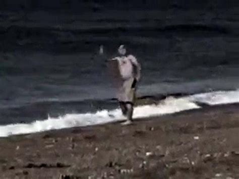 Killer Whale Eats Man On Beach