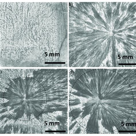 Effect Of Anionic Flocculant On Flocculation In Dualflocculant System