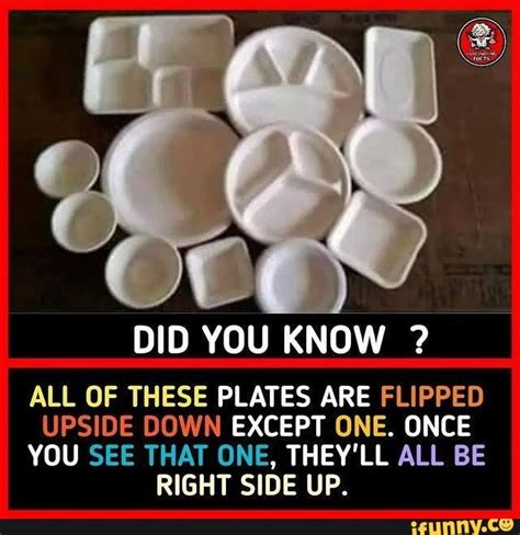 DID YOU KNOW ALL OF THESE PLATES ARE FLIPPED UPSIDE DOWN EXCEPT ONE