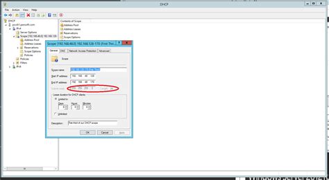 Dhcp сервер Windows 11