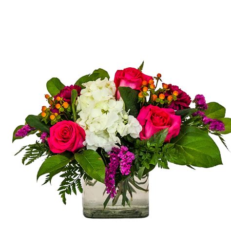 Raspberry Sherbet Cross Creek Florist