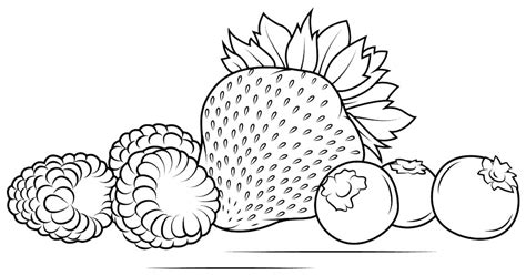 Розмальовка Фрукти і ягоди Роздрукувати і завантажити безкоштовно ТЕГ