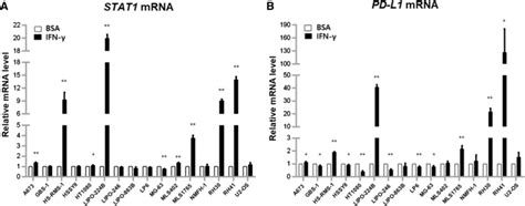 Induction Of Pd L1 Expression By Ifn γ Treatment In Human Sarcoma Cell