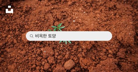 비옥한토양 사진 Unsplash에서 무료 이미지 다운로드