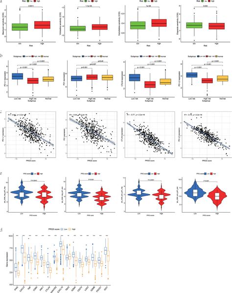 Pyroptosis Modification Patterns In The Therapy Of Oca Box Diagram