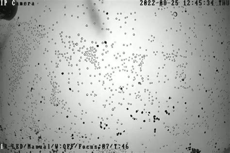 Yolov7 Dataset Instance Segmentation Dataset By Shrimp