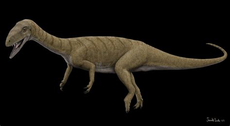 Eodromaeus Murphi By Frank Lode On Deviantart