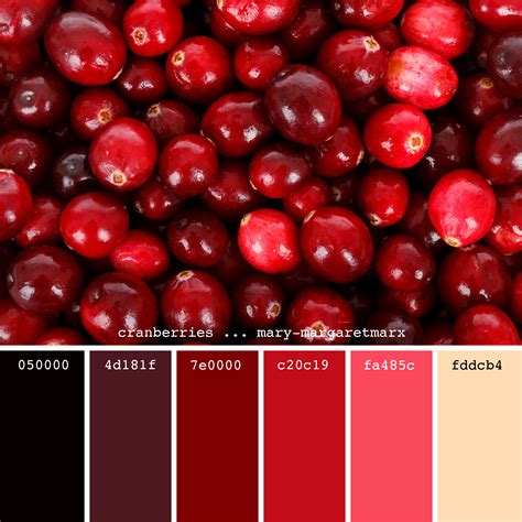 Cranberries Color Schemes Colour Palettes Nature Color Palette Red Colour Palette