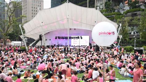 Supporters Of Lgbtq Community Gather At First Pink Dot Event After 377a