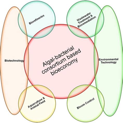 Algaebacteria Interactions Evolution Ecology And Emerging