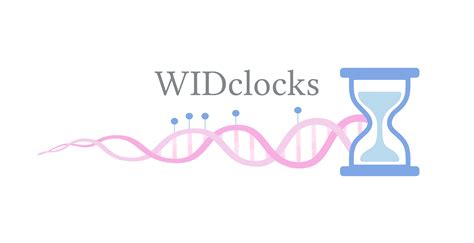 Github Chiaraherzog Widclocks Calculation Of Epigenetic Wid Clocks