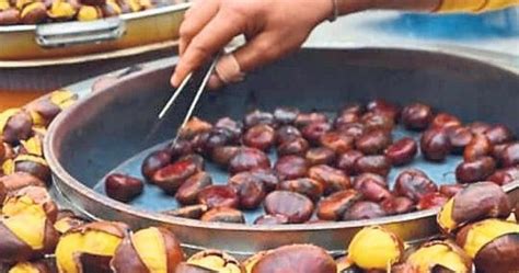 Kestanenin Sofralara Yolculuğu Başladı Pazar Haberleri