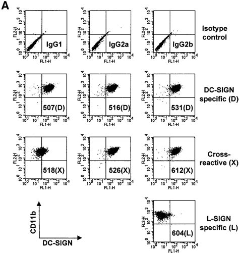 Dc Sign Expression On Myeloid Lineage Cells A Dc Stained With Mabs