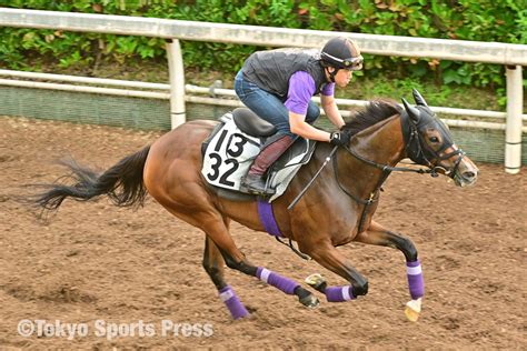 東スポ競馬 On Twitter 【ラスト23秒台の鬼脚・特別編】馬券圏内突入率70％オーバーの新機軸！〝坂路の番人〟清水友哉記者が混戦の