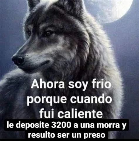Cuando Tu Profe Te Da Tu Calificación Final Eres Un Alumno Increíble