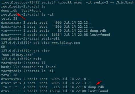 K8s Statefulset启用redis Cluster搭建 云原生之路
