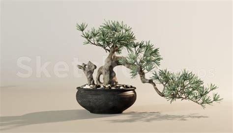 11291 Free Sketchup Tree Models Download Sketchup Models For Free