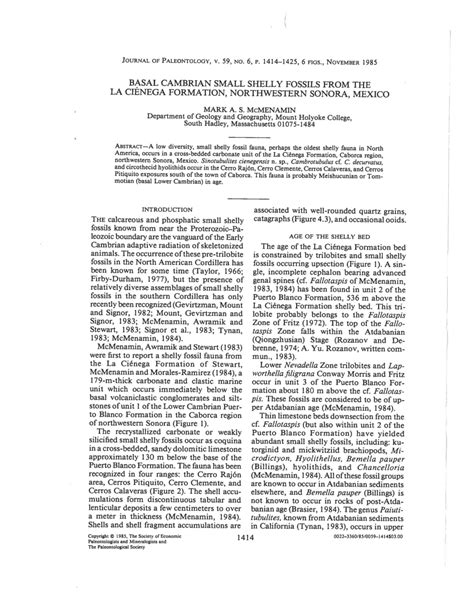 Pdf Basal Cambrian Small Shelly Fossils From The La Ciénega Formation Northwestern Sonora Mexico