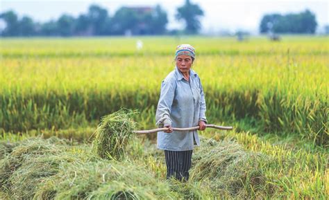 Asean Development Outlook Ascc Knowledge Hub