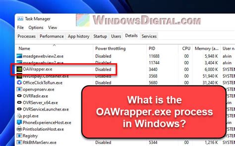What Is Oawrapperexe Application Error And How To Delete It
