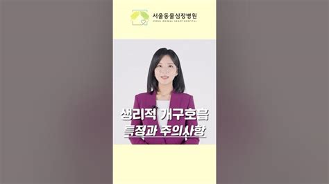 고양이 개구호흡 주의사항 생리적 개구호흡 Youtube