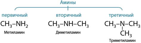 Строение аминов | Органическая химия, 10 класс