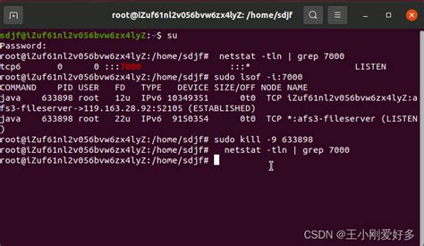 Linux（ubuntu）关闭某个占用端口的进程linux关闭占用端口的进程 Csdn博客