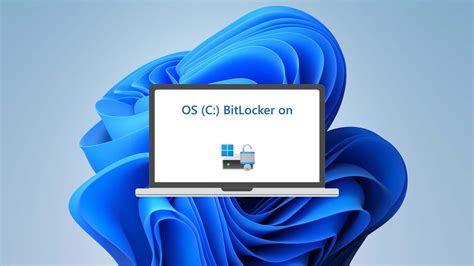 File Encryption On Windows 10 At Douglas Jacobson Blog